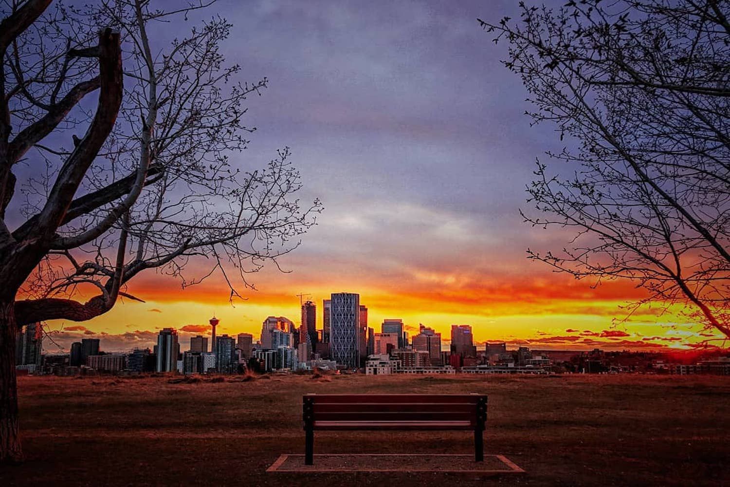 Guide: The 10 best viewpoints in Calgary - Curiocity