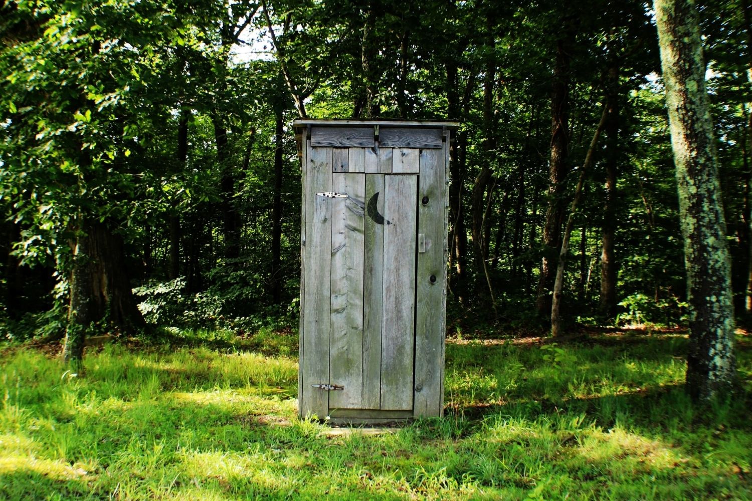Did you know? Banff has a $2 million solar-powered outhouse - Curiocity