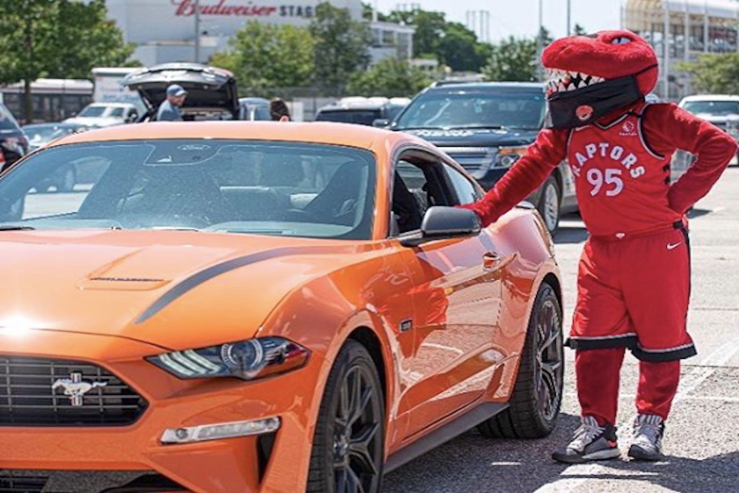Guide: 10 of the best places to watch the Raptors playoff run - Curiocity