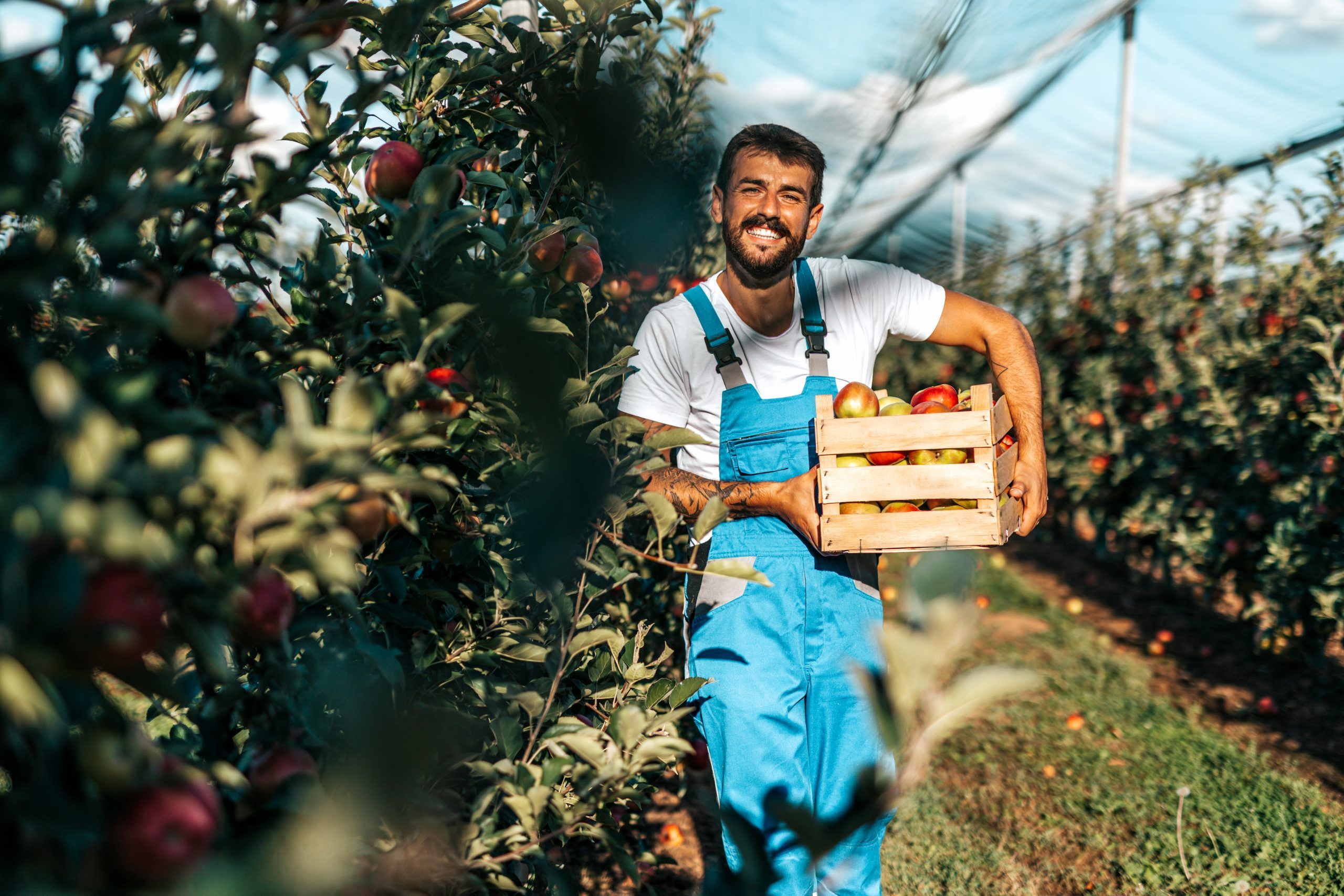 10 awesome U-pick farms you can visit around Calgary this summer