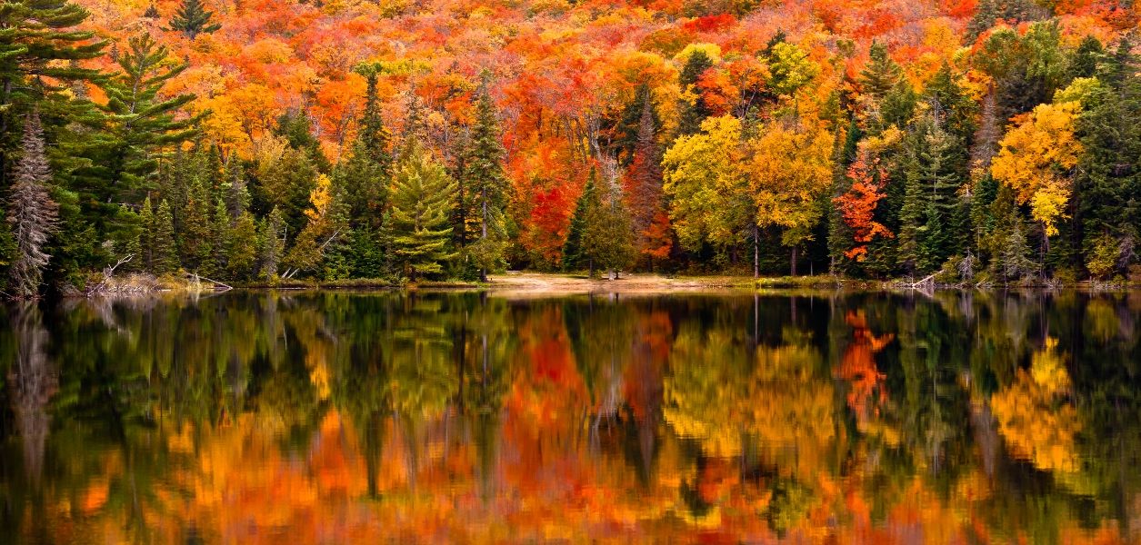 Here's where & when to see peak fall colours in Ontario this year