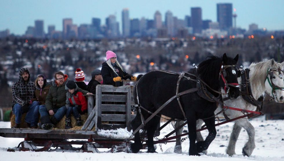 Take in the Calgary skyline on a magical city sleigh ride this December