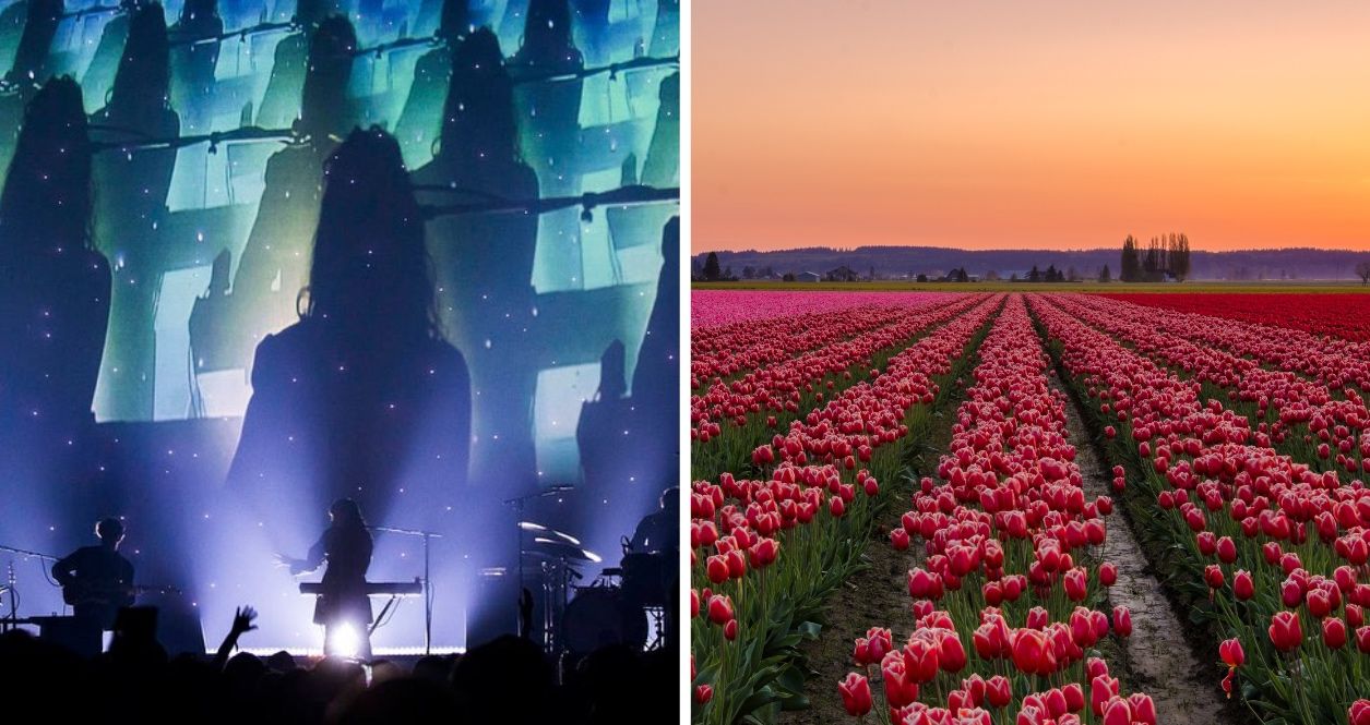 40 of the best things to do in Seattle this April