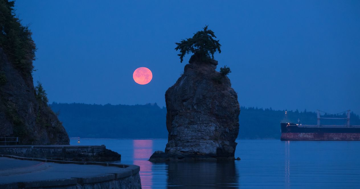 Here's where you can view the 'supermoon eclipse' in Vancouver