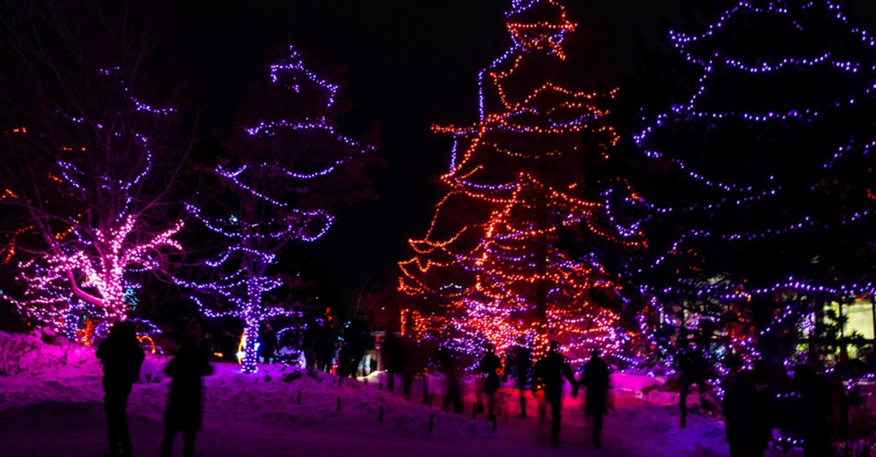 10 of the best things to do in Calgary this week (November 14-18)