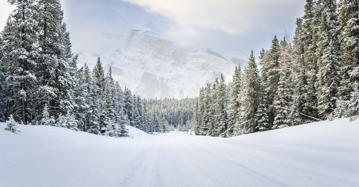 Which Alberta cities are under a snowfall warning today?