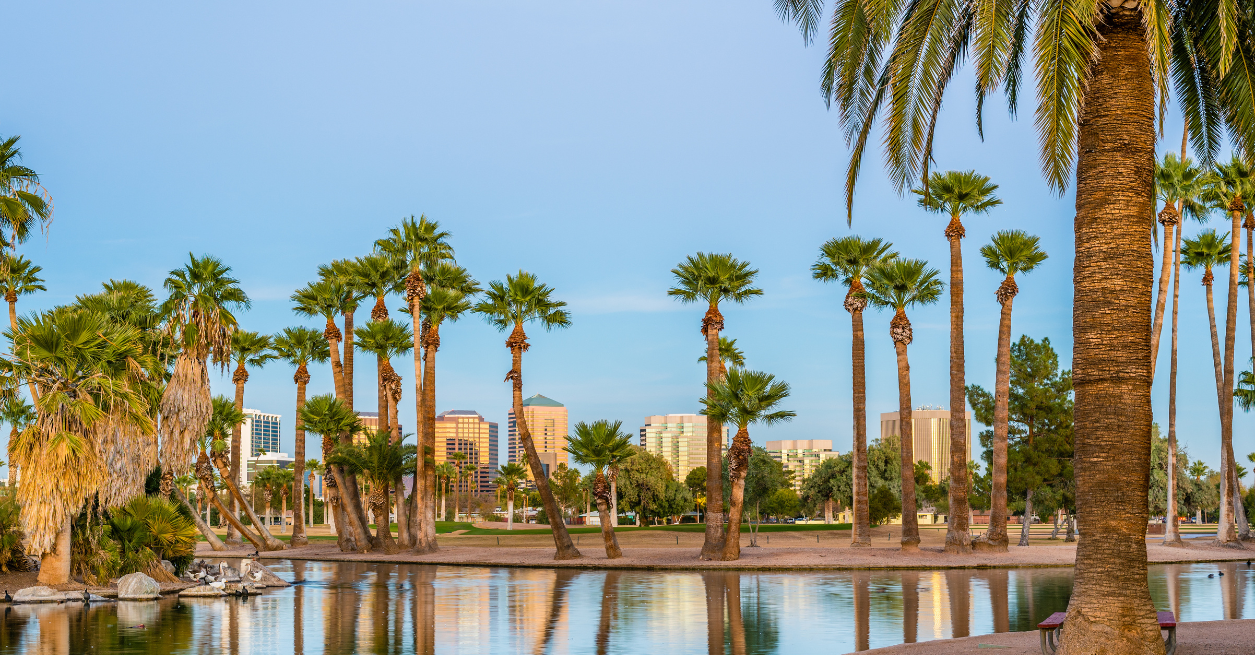 Lynx Air is offering $1 base fares from Calgary to Phoenix right now