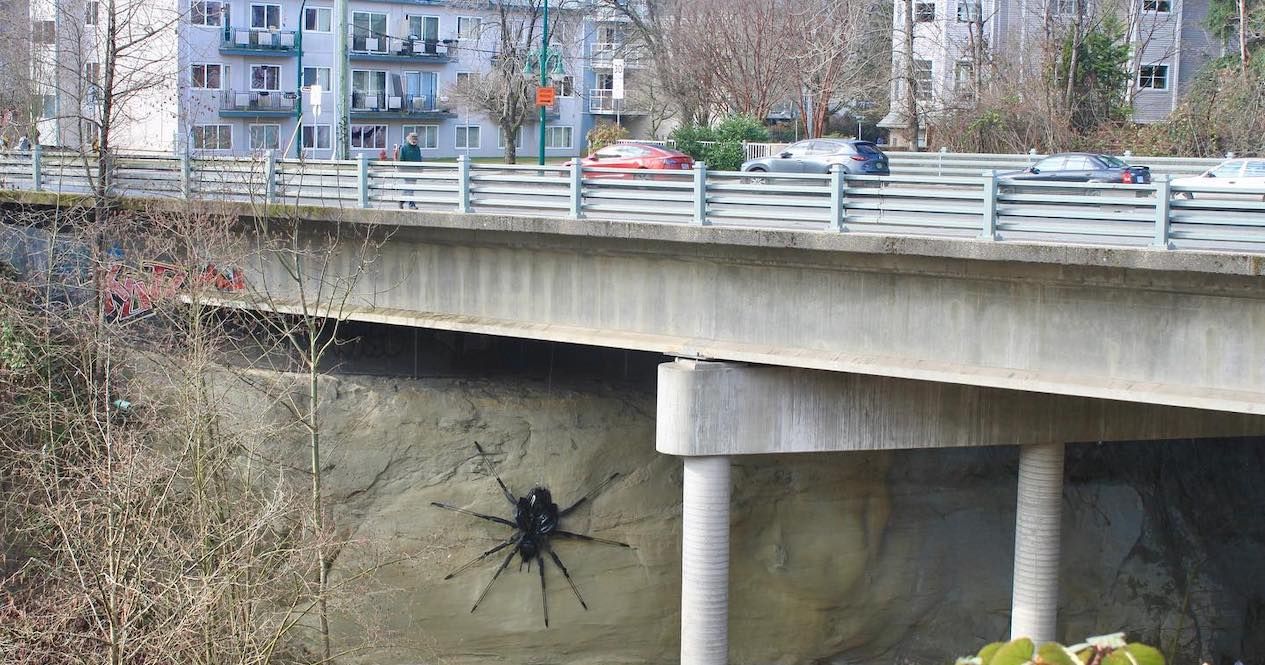 Giant spider art installation revealed in Vancouver