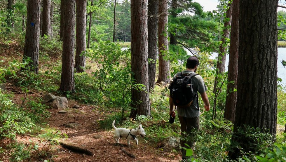 7 beautiful summer hikes near Toronto for every skill level