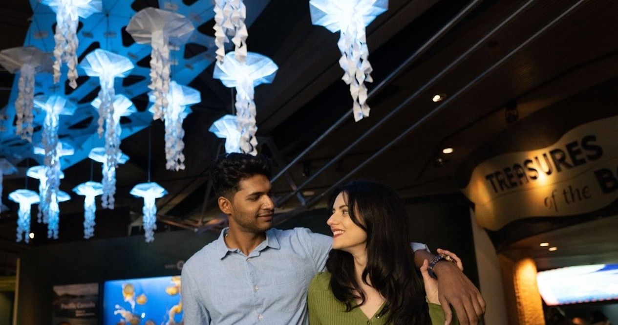Vancouver Aquarium to introduce adults-only 'Fish & Sips' nights