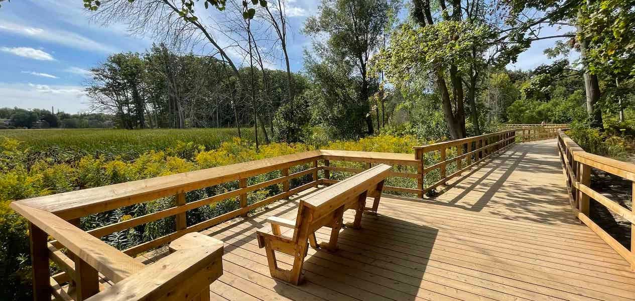 Rattray Marsh has a boardwalk that overlooks massive trees