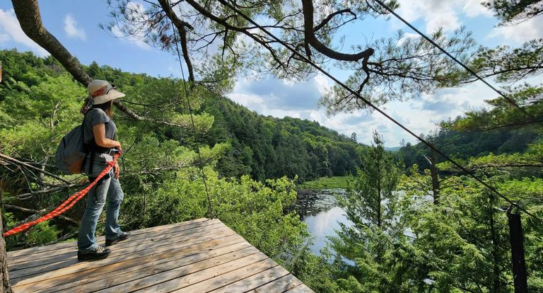 Ontario has the longest canopy boardwalk 'in the world'