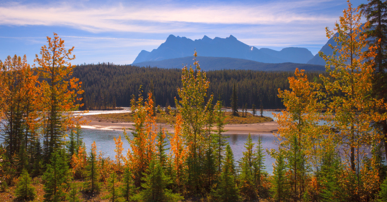 Here's what Alberta can expect in October's weather forecast
