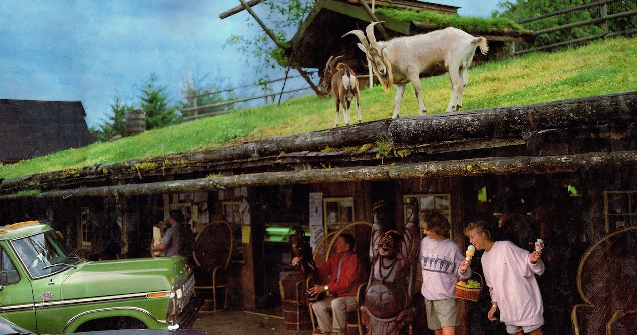 Old Country Market in Coombs, BC is home to rooftop goats