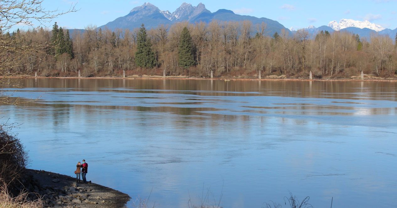 Derby Reach Regional Park in Langley has heritage apple trees