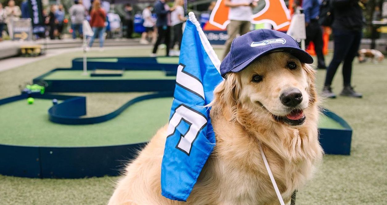 10 of the best sports bars in Seattle to watch the Seahawks