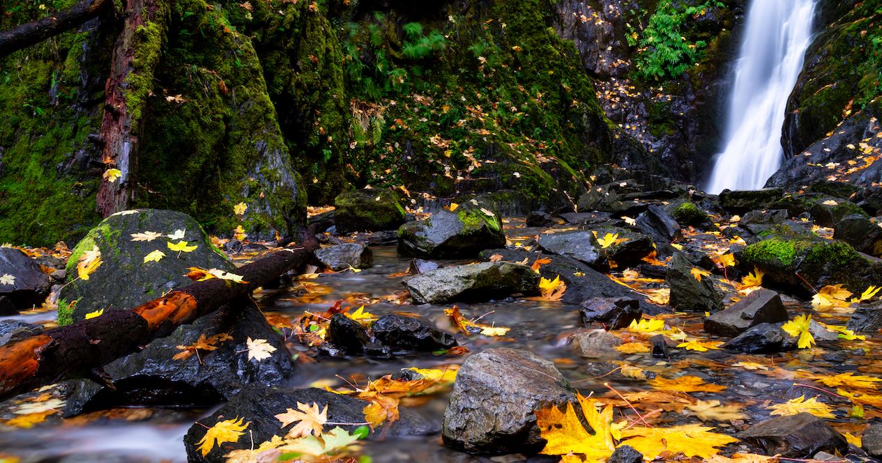 10 beautiful BC parks to visit this fall