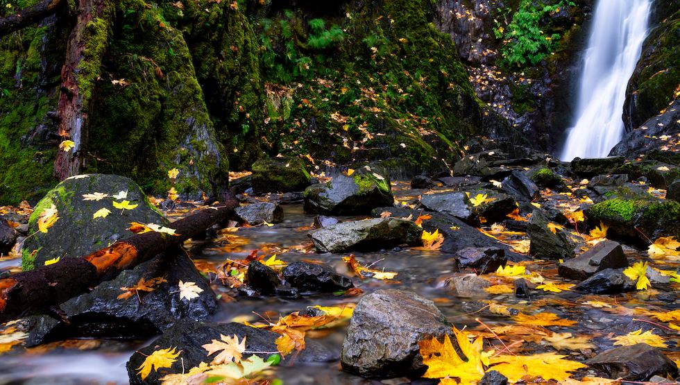 10 beautiful BC parks to visit this fall
