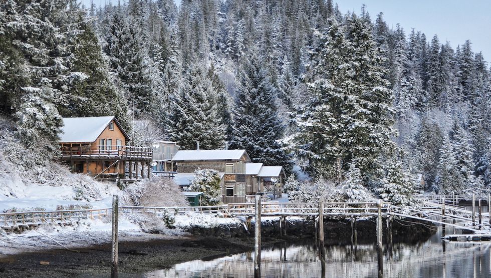 Winter Harbour in BC has access to four stunning provincial parks