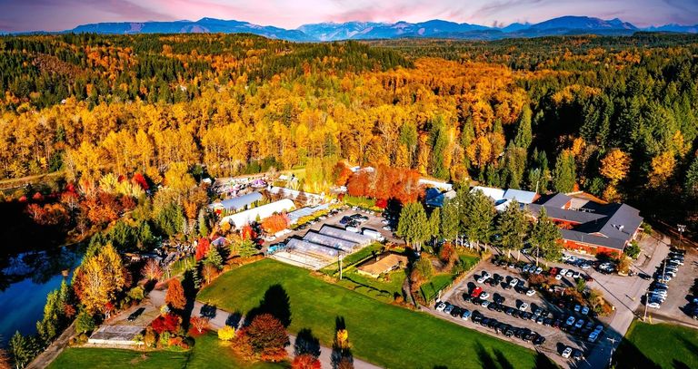 Remlinger Farms to have concert series in summer 2024