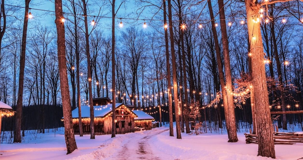 Mountsberg Conservation Park to host Winterlit in Ontario