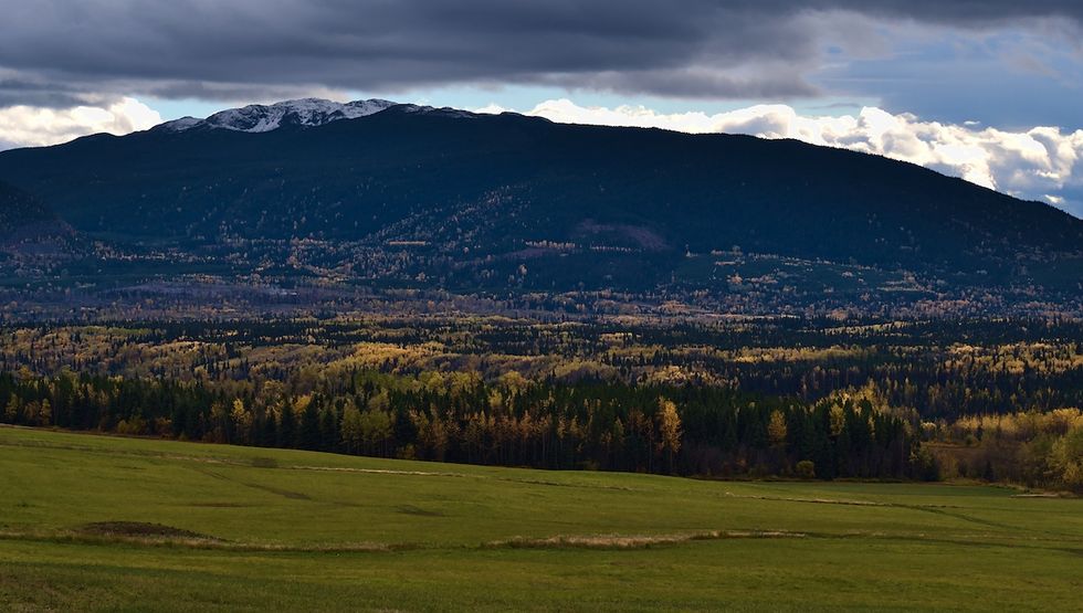Houston in BC has 40 km of cross-country ski trails
