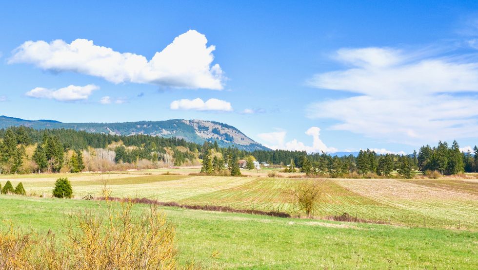 Cobble Hill in BC grows some of the finest wine grapes