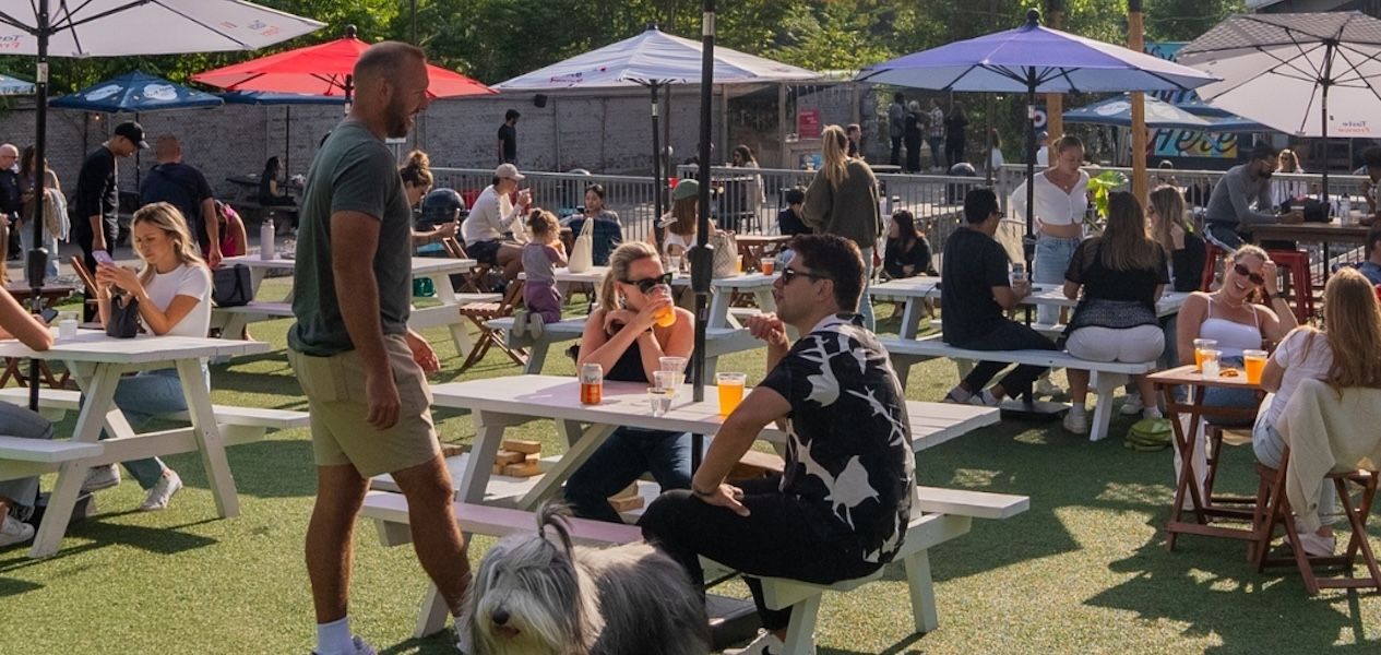 What are some free and cheap things to do in Toronto this April?