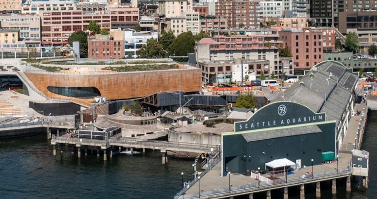 The new Ocean Pavilion at the Seattle Aquarium opens this August