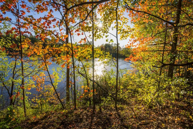 Most scenic trails in Ontario for your fall hiking bucket list