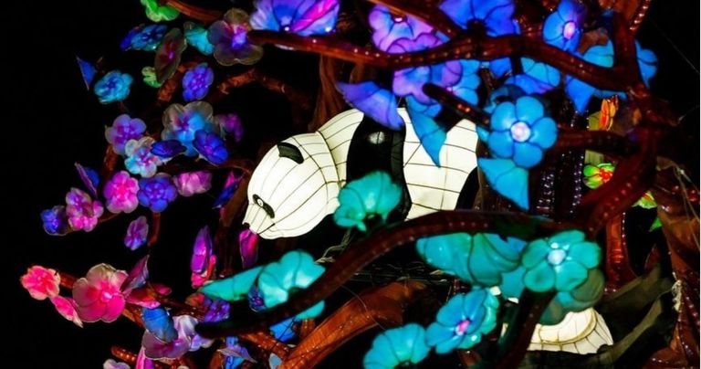 A fantastical experience with lanterns comes to the Seattle Zoo