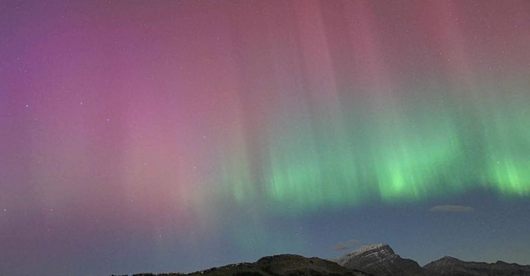 This 'aurora cam' live streams the northern lights in Alberta