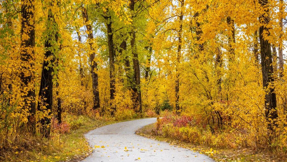 This historic Calgary park is one of the largest in North America