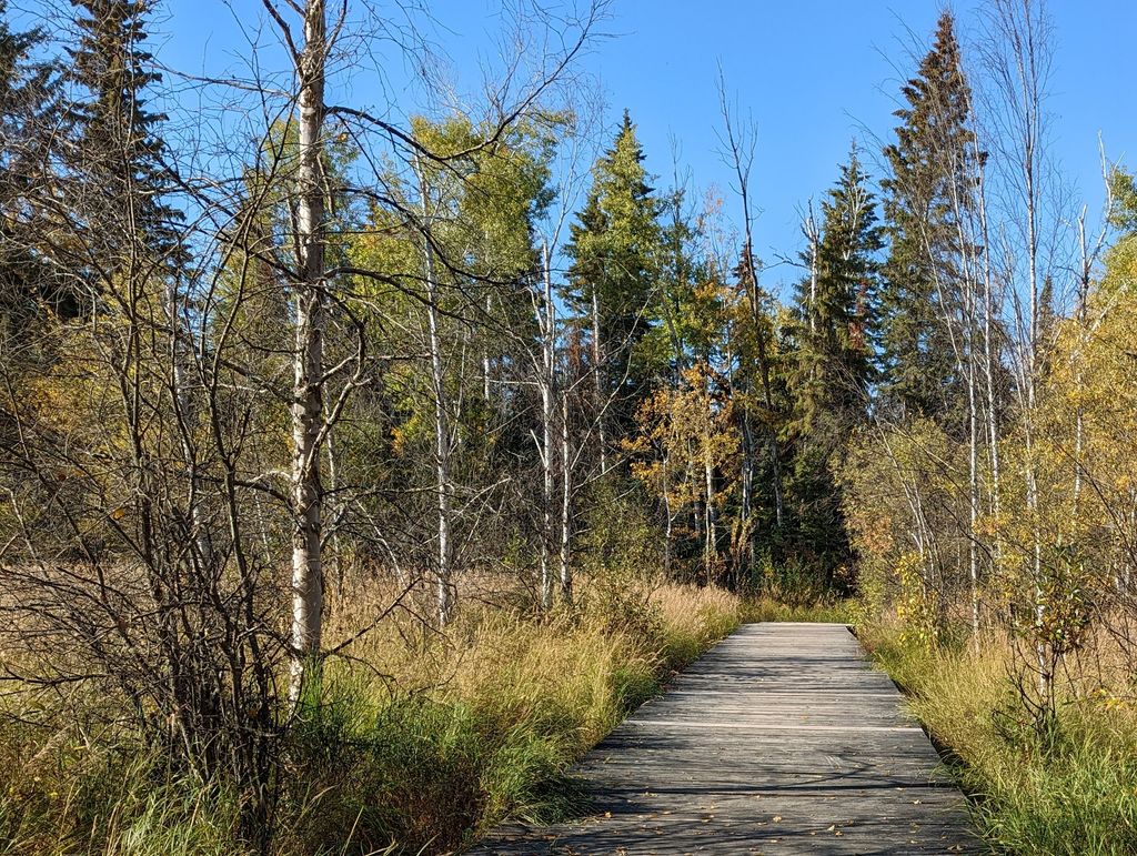 What to do at Sir Winston Churchill Provincial Park in Alberta