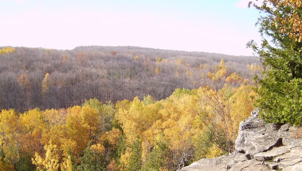 Nottawasaga Bluffs have breathtaking vistas of countryside