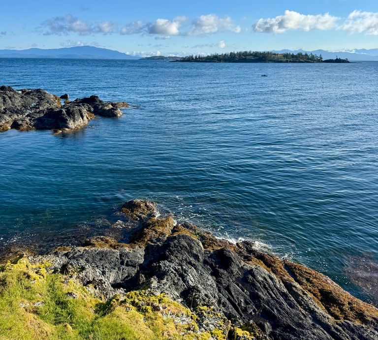 Nanoose Bay is a 'hidden' Vancouver Island gem worth exploring