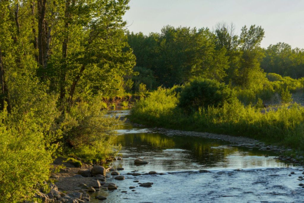 Reddit users shared their favourite spots in Calgary