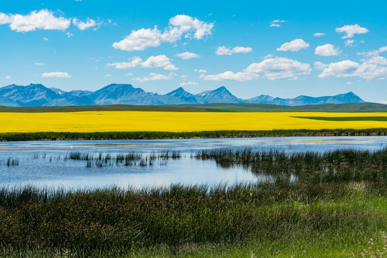 The best rural Alberta towns to visit near Calgary