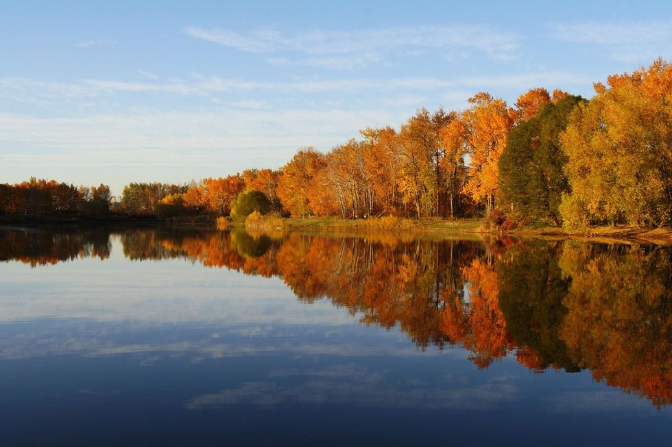 This park in Calgary pops with gorgeous fall colours