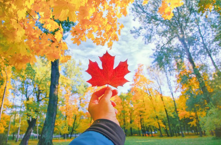When is the first day of fall in 2025?