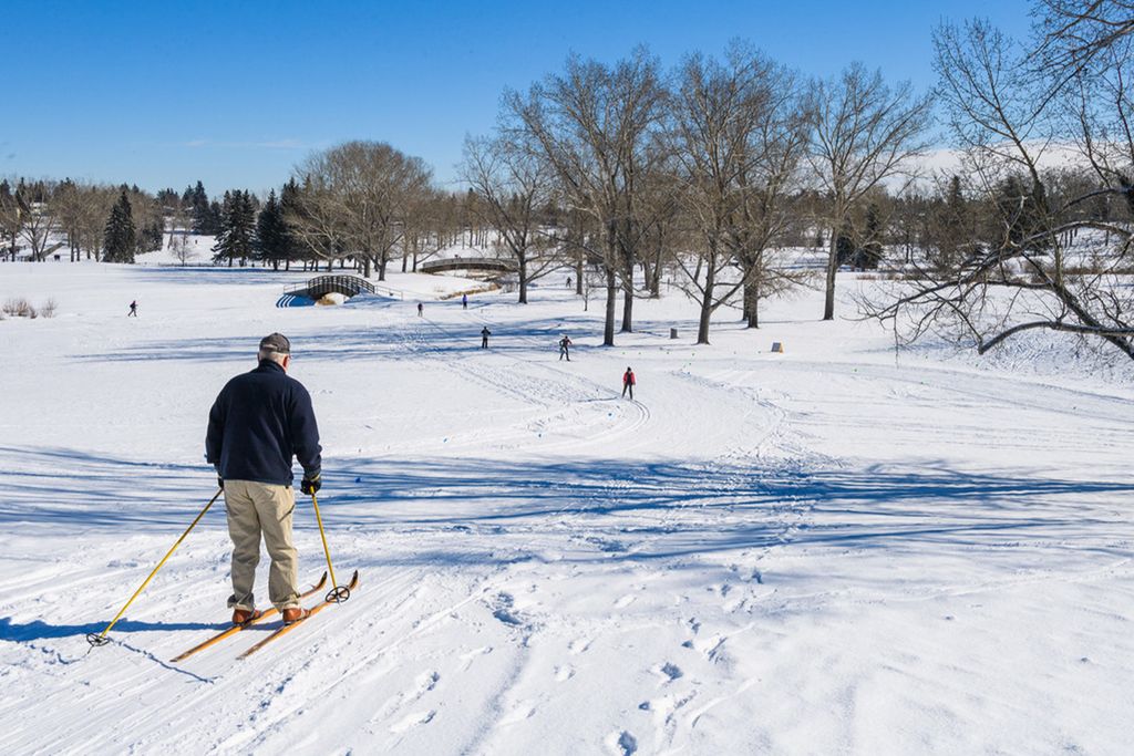 Calgary's Confederation Park is 160 hectares of pristine parkland