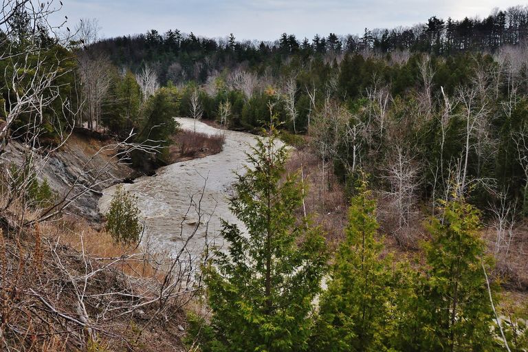 Toronto's ravine system is the largest of any city in the world