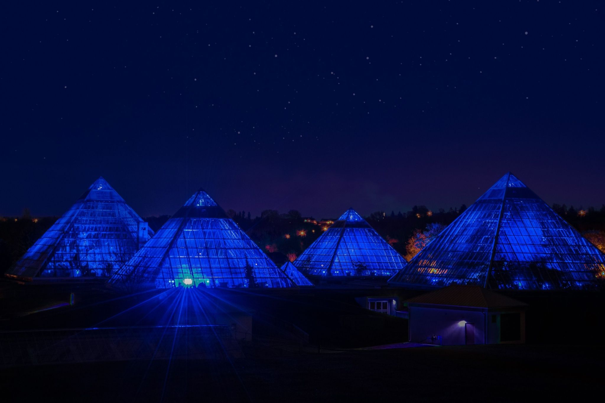 The Muttart Conservatory is lighting up the pyramids after hours