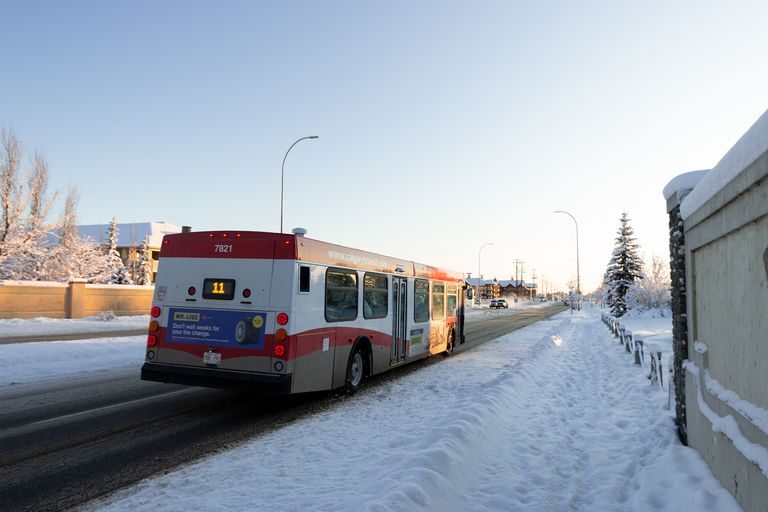 Calgarians' top tips on how to spend December in the city