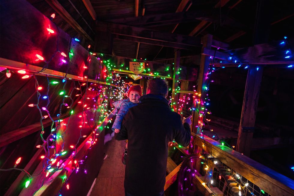 The top 11 best things to do in and around Calgary this weekend