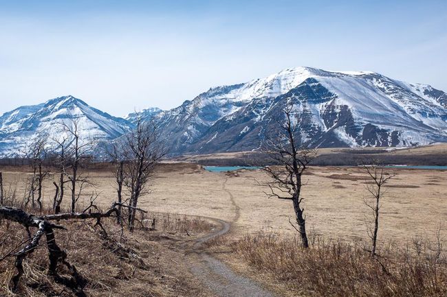 WestJet has a new nonstop flight between Calgary and Panamá