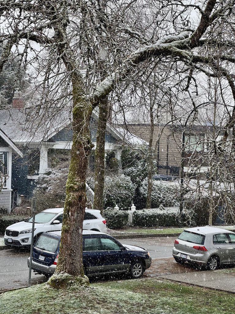 Vancouver treated to surprise first snowfall on Feb. 18, 2026